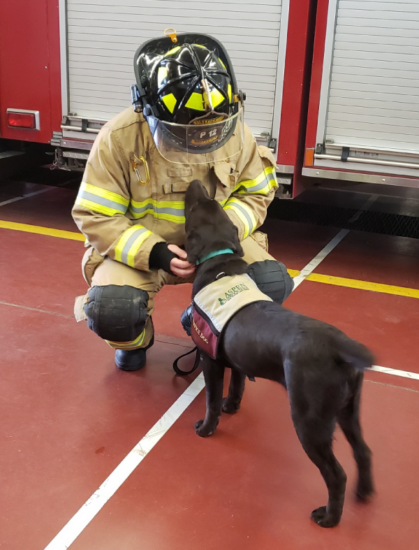 fireman | Aspen Service Dogs