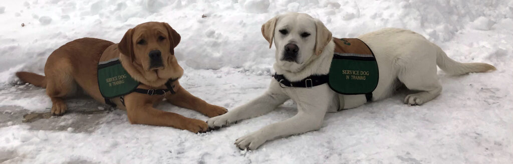 program-banner | Aspen Service Dogs