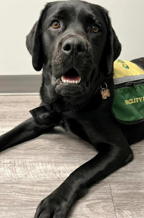 Aspen’s Graduates | Aspen Service Dogs